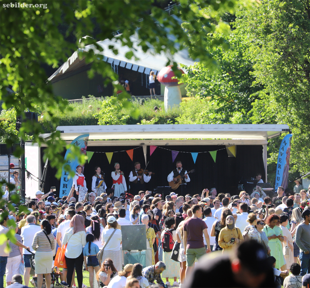 Midsommar i Slottsskogen – Se bilder